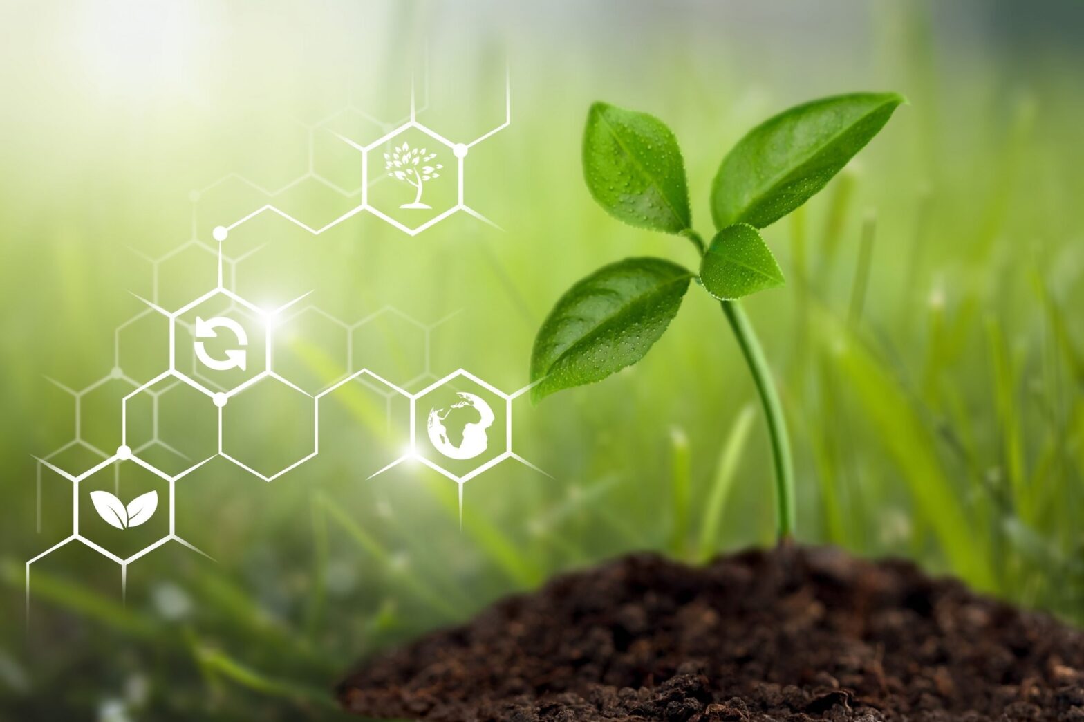 fcfindia – Powering Carbon Markets