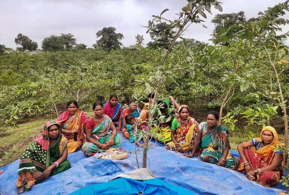 fcfindia – Powering Carbon Markets